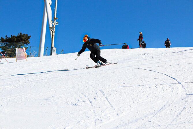 [OFFICIAL] Eden Valley Resort Winter Ski Day Tour from Busan - FAQ