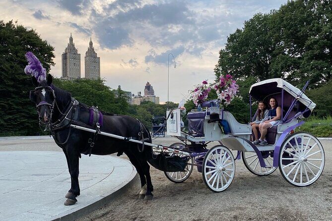 OFFICIAL NYC Central Park Horse Carriage Rides - Why Choose This Horse Carriage Ride?