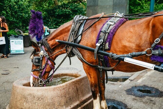Official Private New York City Central Park Horse Carriage Ride Since 1965 - FAQs