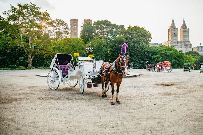 Official Private New York City Central Park Horse Carriage Ride Since 1965 - Final Thoughts
