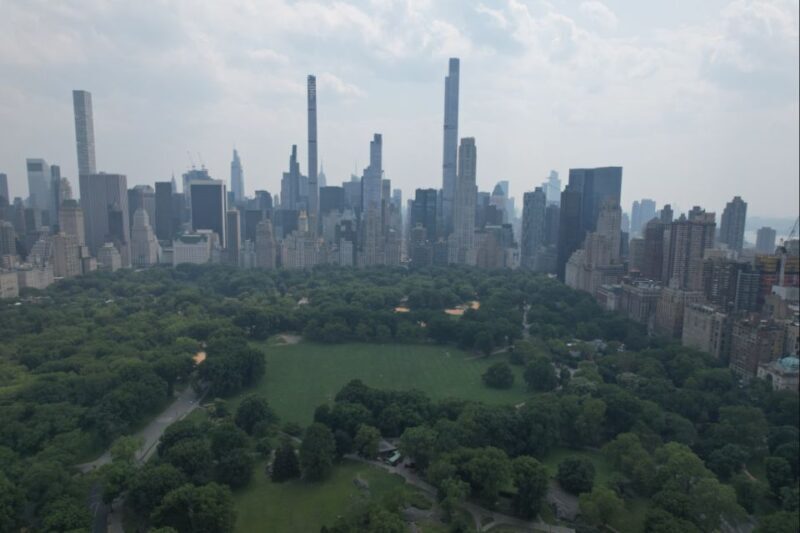 Official VIP Whole Central Park Horse Carriage Tour - What Makes This Tour Stand Out?