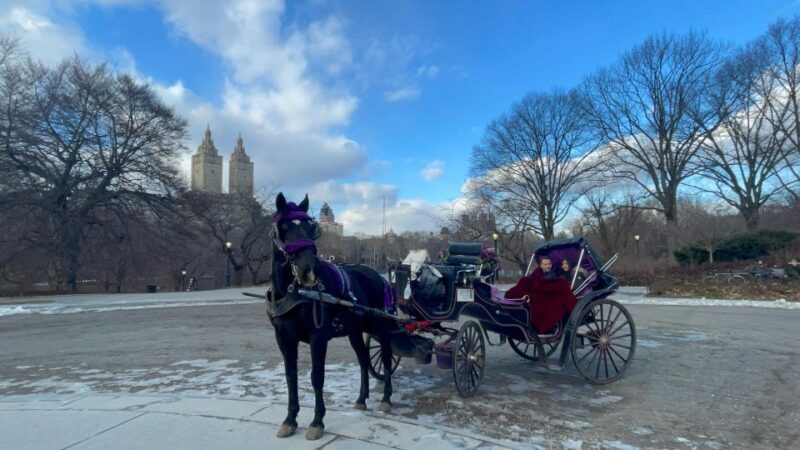 Official VIP Whole Central Park Horse Carriage Tour - Analyzing the Experience: Is It Worth the Price?