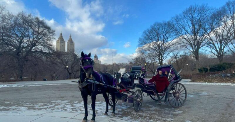 Official VIP Whole Central Park Horse Carriage Tour - Practical Tips for Your Tour