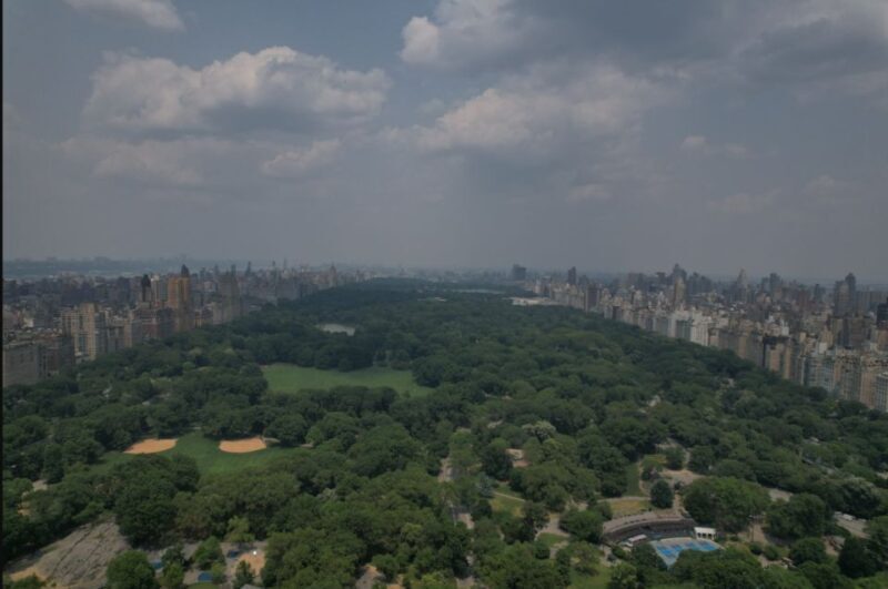 Official VIP Whole Central Park Horse Carriage Tour - Final Thoughts