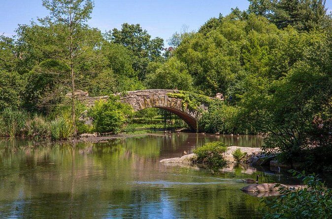 Official Who Built Central Park Walking Tour - Authentic Insights and What Travelers Say