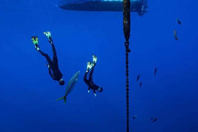 Offshore Safari Adventure in Kona with Underwater Videos - Practical Tips for Your Tour