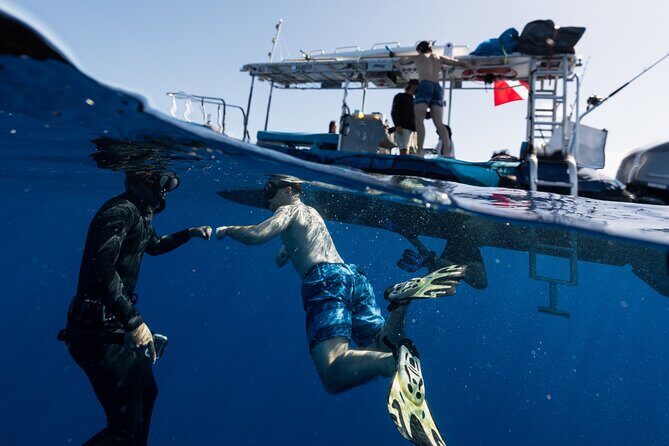 Offshore Safari Adventure in Kona with Underwater Videos - FAQ