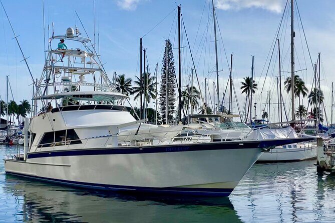 Ohana Yachts Sport Fishing & Luxury Charters - Key Points