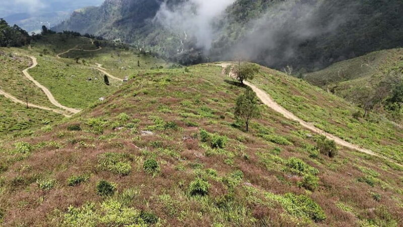 Ohiya: Devils Staircase Guided Hike to Kalupahana - The Logistics: Comfort, Convenience, and Cost