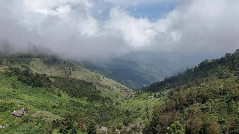 Ohiya: Devils Staircase Guided Hike to Kalupahana - The Experience from the Reviews and Our Perspective