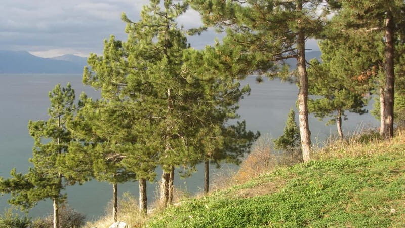 Ohrid: Old Town Bike Rental - What to Expect From the One-Hour Bike Ride