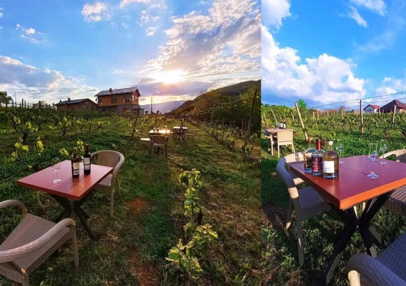 Ohrid: S&S Winery Tour and Wine Tasting Experience - What to Expect During the Tour