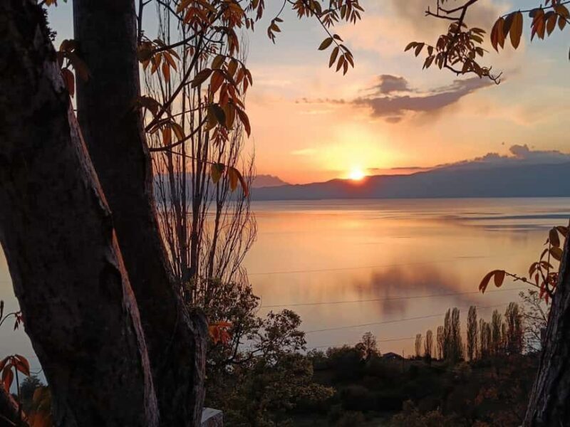 Ohrid: Vik's winetasting - What You Can Expect: A Well-Balanced Tasting