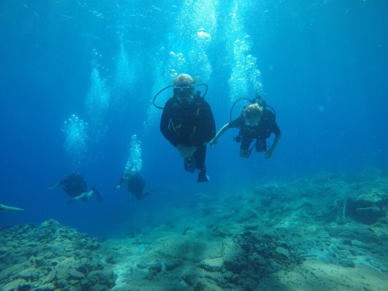 Oia: 2 Guided Scuba Dives off Santorini for Certified Divers - Key Points