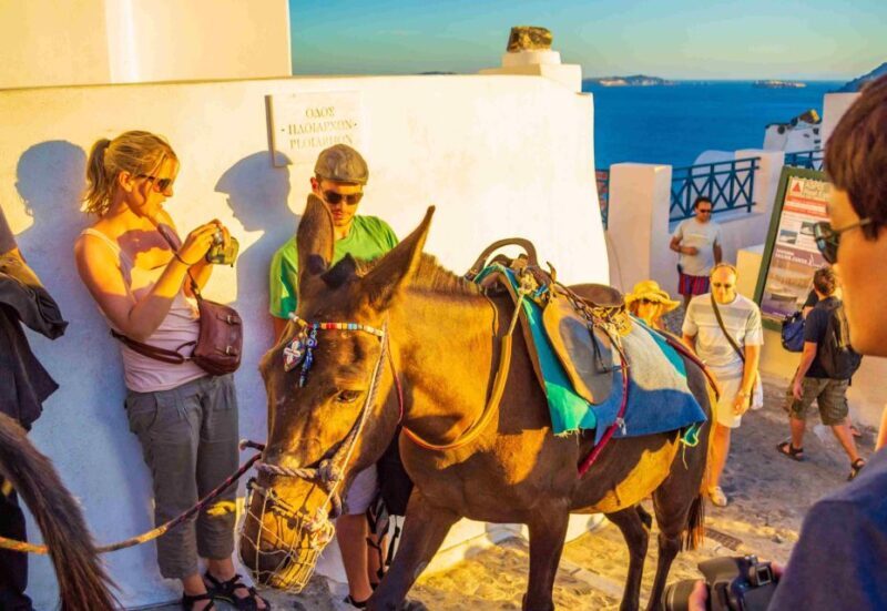 Oia Sunset Daily Tour - What You Can Expect from the Oia Sunset Daily Tour