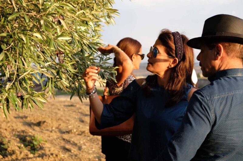 Oil and food tasting in the province of Agrigento - FAQ