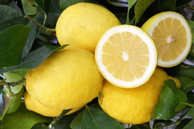 Oil & lemon walking tour- The Essence of Sorrento - Visiting Local Producers: Cheese, Wine, and Limoncello