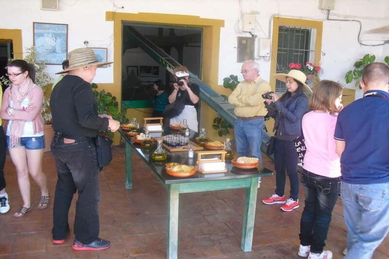 Oil Mill and Agro-Food Market from Costa del Sol - Key Points