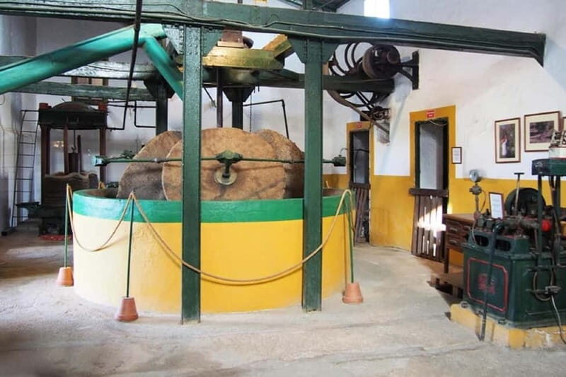 Oil Mill and Agro-Food Market from Costa del Sol - An In-Depth Look at the Experience