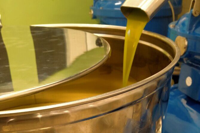 Oil Mill Private Tour with Guided Oil Tasting - An In-Depth Look at the Experience