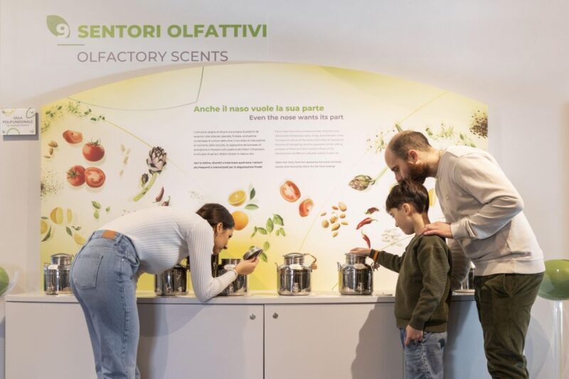 Oil Museum and Mill in Tuscany: interactive tour and tasting - The Mill: From Ancient to Modern