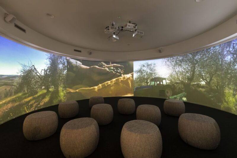 Oil Museum and Mill in Tuscany: interactive tour and tasting - Practical Details and Value