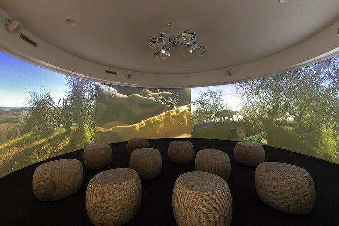 Oil museum and oil mill in Tuscany: tour and tasting - The Sum Up