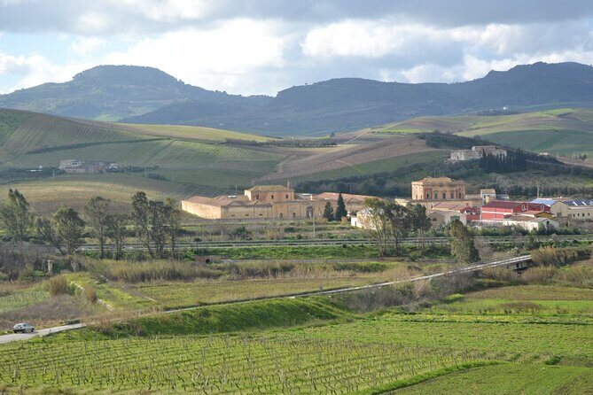 Oil Tour in Historic Baglio Florio Adamo with Lunch - Key Points