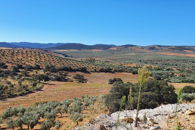 Oil tourism at Finca La Pontezuela - Frequently Asked Questions
