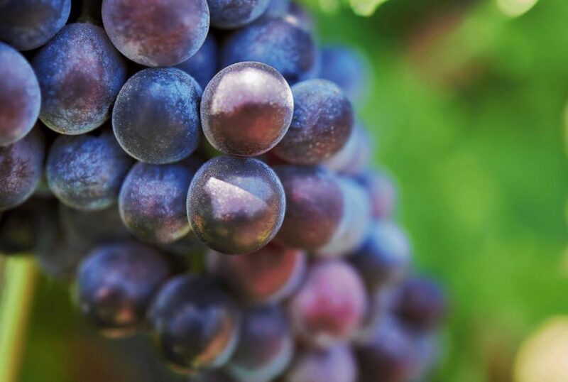 Oil & Wine Tasting - Who Will Love This Experience?