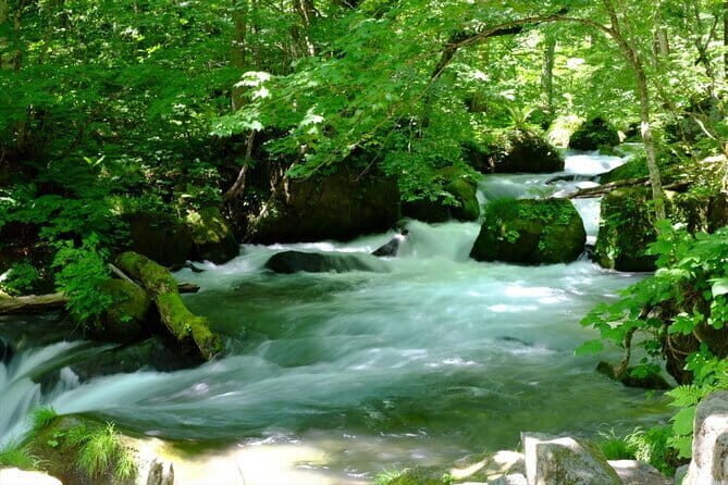 Oirase Gorge and Lake Towada Day Hike with Government-Licensed Guide - Key Points