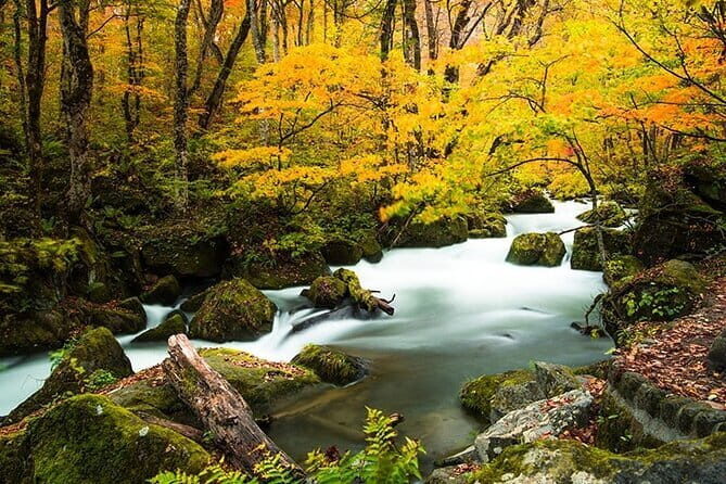 Oirase Gorge and Lake Towada Day Hike with Government-Licensed Guide - The Experience in Detail