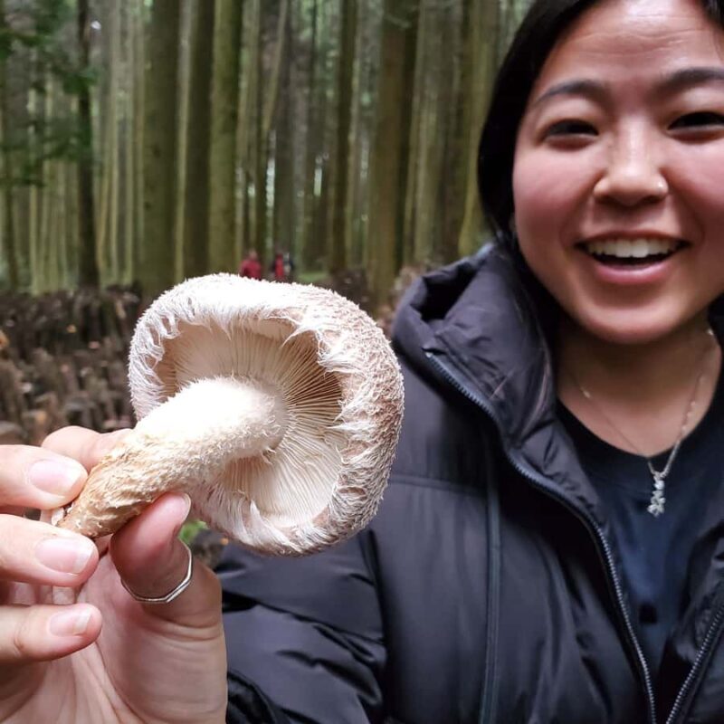 Oita: Shiitake Mushroom Farm Tour & Tasting - Who Will Love This Experience?