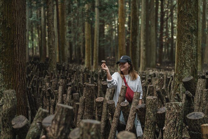Oita: Shiitake Mushroom Farm Tour & Tasting - Who Will Love This Experience?