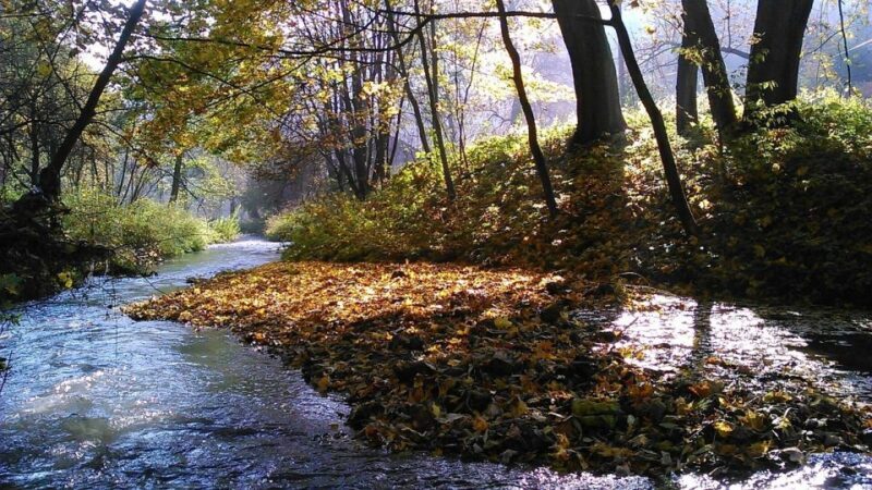 Ojcow National Park: Full-Day Trip from Krakow - FAQ