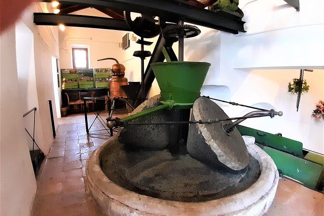 Ojen private walking tour by Tours in Malaga - Who Would Enjoy This Tour?