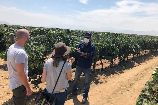 Ojos Negros Valley Wine and Cheese Route Tour in Baja California - FAQ