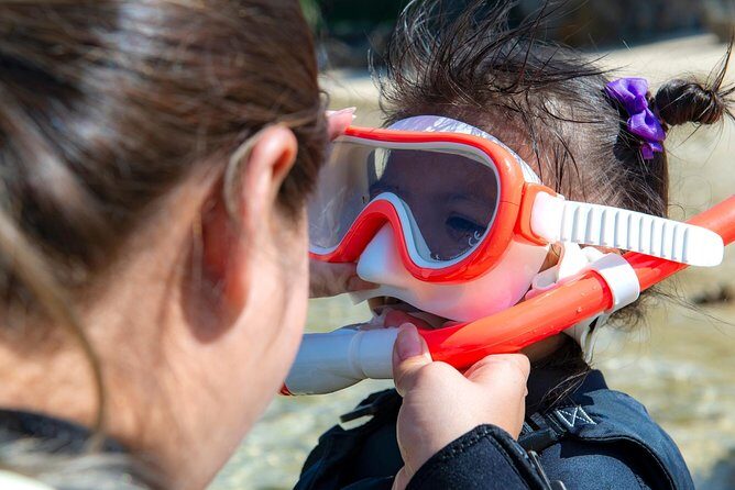 OK from 2 years old! / Sea picnic & snorkel - Practical Considerations and Tips