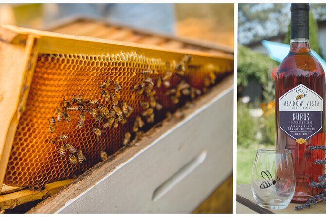 Okanagan Bee Tour and Lunch at Winery in Kelowna - What to Expect: A Step-by-Step Overview