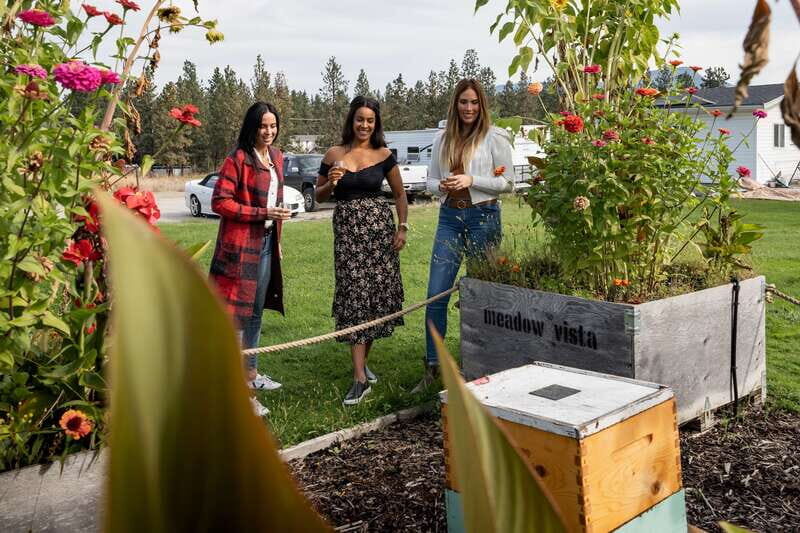 Okanagan Bee Tour, Wine Tasting and Lunch at Kelowna Winery - The Guided Tour and Farm Experience