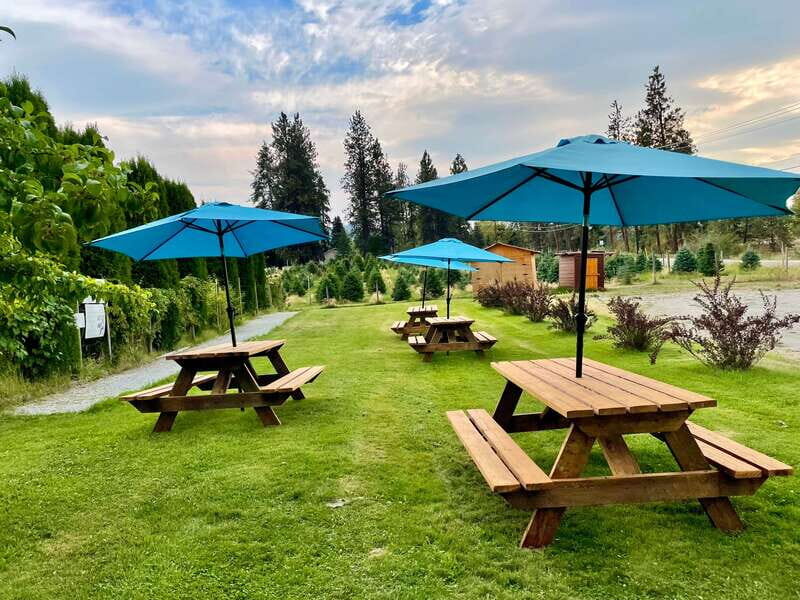 Okanagan Bee Tour, Wine Tasting and Lunch at Kelowna Winery - Honey and Honey Wine Tastings