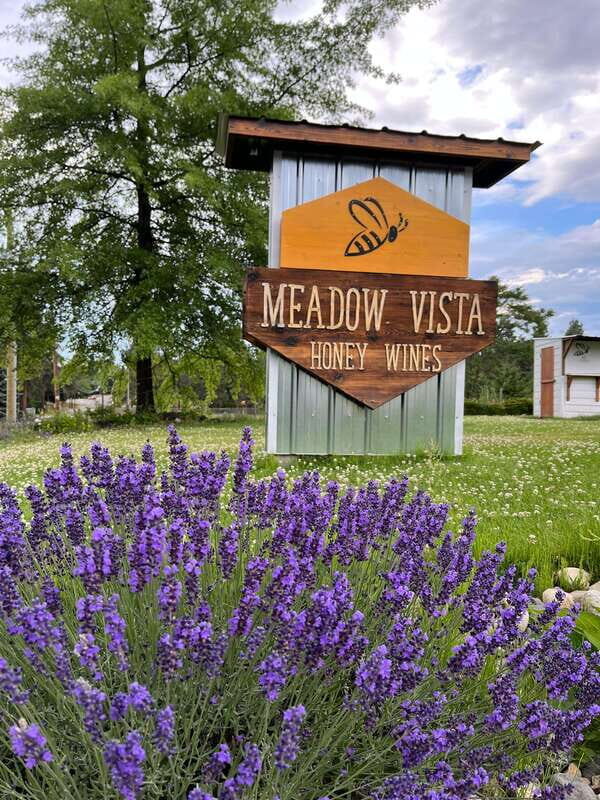 Okanagan Bee Tour, Wine Tasting and Lunch at Kelowna Winery - Who Will Enjoy This Tour?