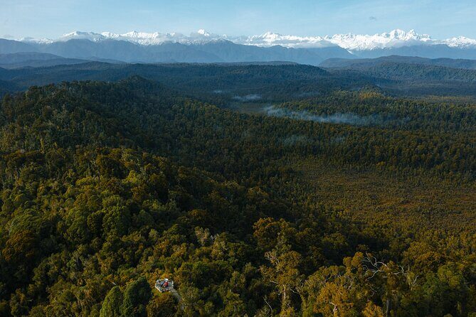 Okarito Nature Tour - Exploring the Okarito Nature Tour: A Hidden Gem Along the West Coast of New Zealand