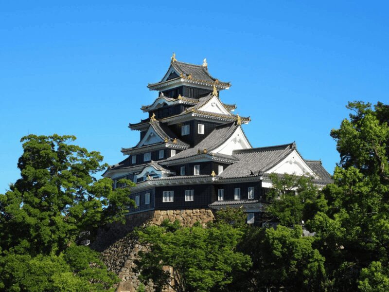 Okayama Castle Admission Ticket - The Exhibits and Artifacts