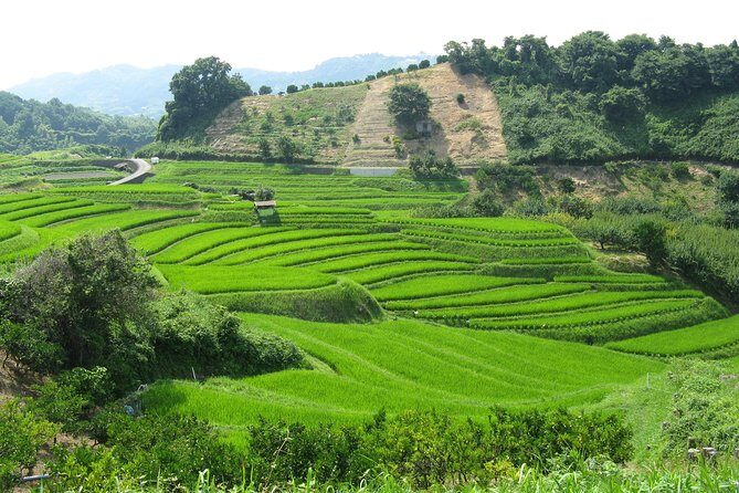 Okayama Full-Day Private Trip with Government-Licensed Guide - Who Should Book This Tour?