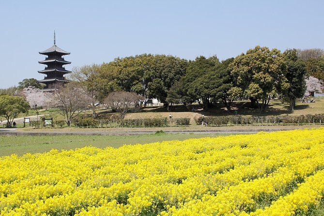 Okayama Private Customizable Full Day Tour - A Detailed Look at the Okayama Private Tour