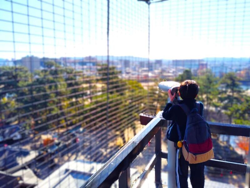 Okazaki: Tour of the Birthplace of Japans Greatest Shogun - Introduction: A Unique Window into Japan’s Past