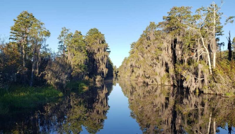 Okefenokee Swamp: Guided Boat Tour with a Local Naturalist - An In-Depth Look at the Okefenokee Guided Boat Tour