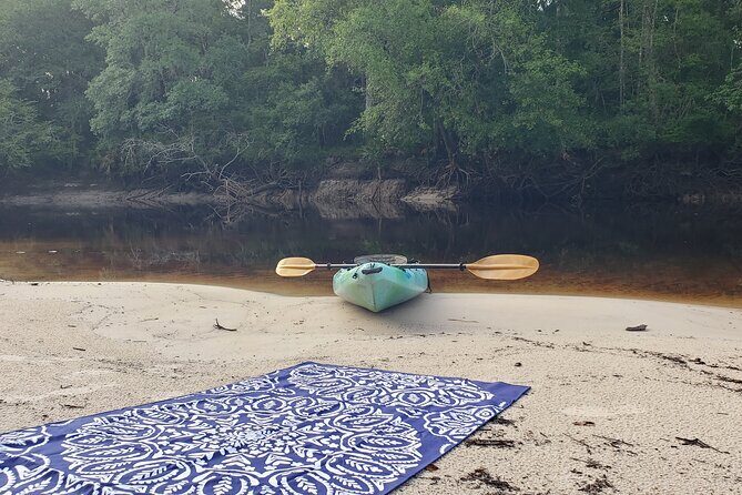 Okefenokee Swamp: Guided Kayak Tour with a Local Naturalist - A Hands-On Look at the Okefenokee Swamp Guided Kayak Tour
