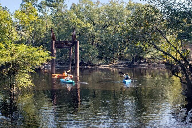 Okefenokee Swamp: Guided Kayak Tour with a Local Naturalist - What Makes This Tour Special?
